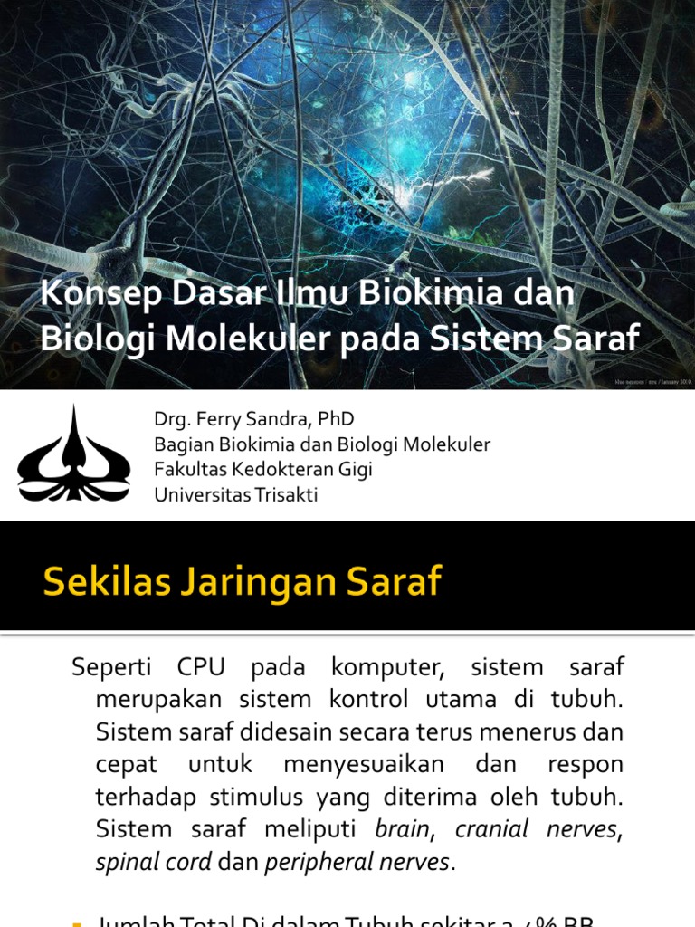Konsep Dasar Ilmu Biokimia Dan Biologi Molekuler Untuk Sistem Saraf ...