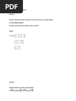 Determinan Matriks 3x3 Metode Sarrus Dan Minor-Kofaktor | PDF
