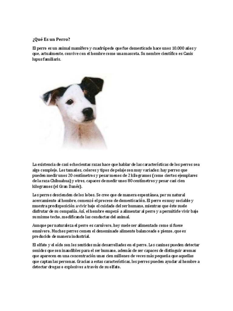 Qué Es Un Perro | PDF