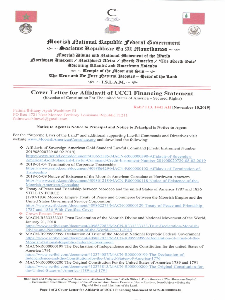 Affidavit of Universal Commercial Code 1 - FINANCING STATEMENT | PDF