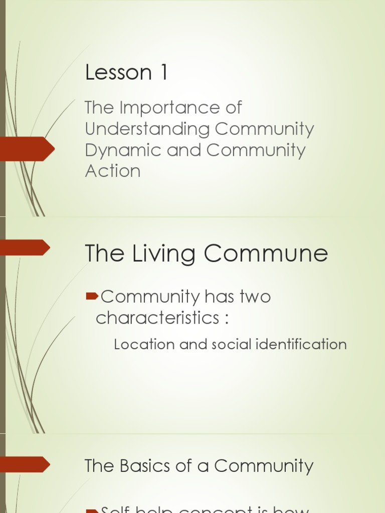 Concepts and Perspective of Community | PDF