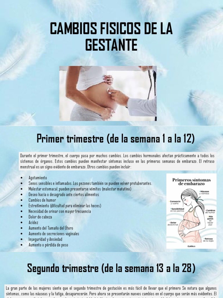 Cambios físicos en el embarazo por trimestre | PDF | El embarazo | Parto