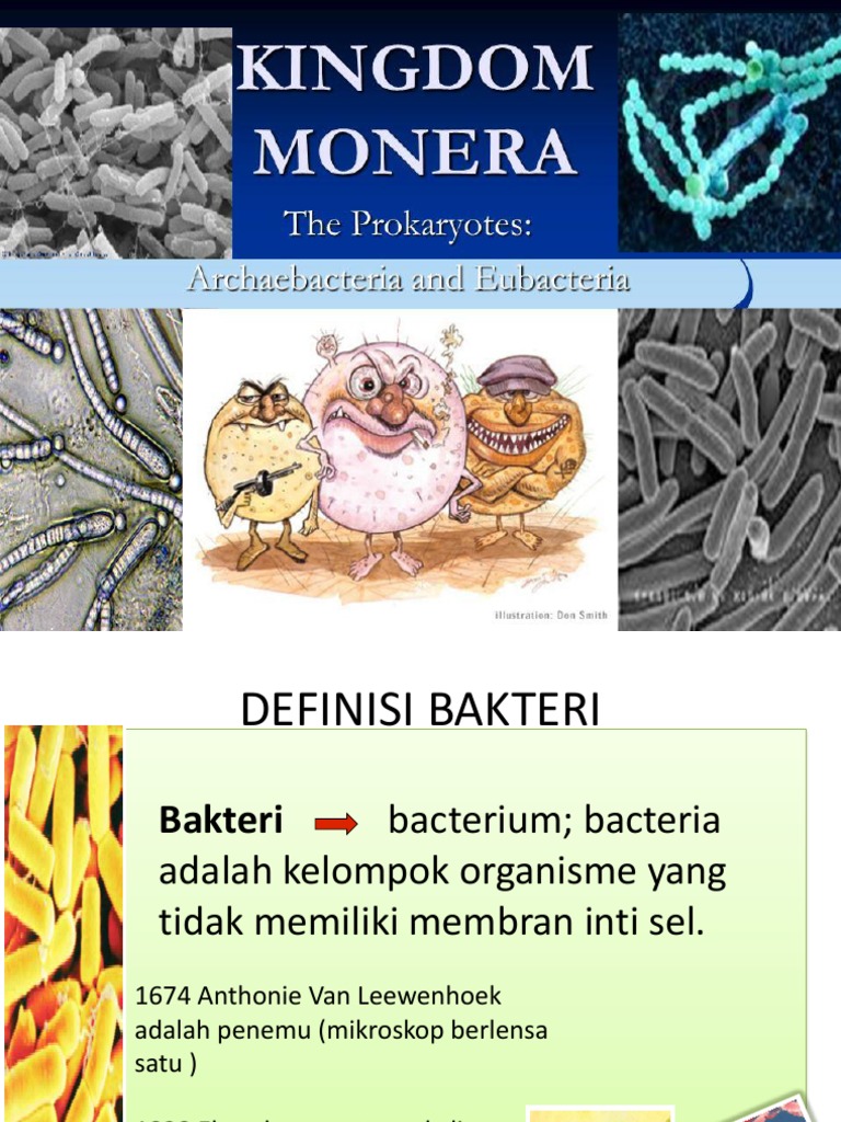 Kingdom Monera Bakteri