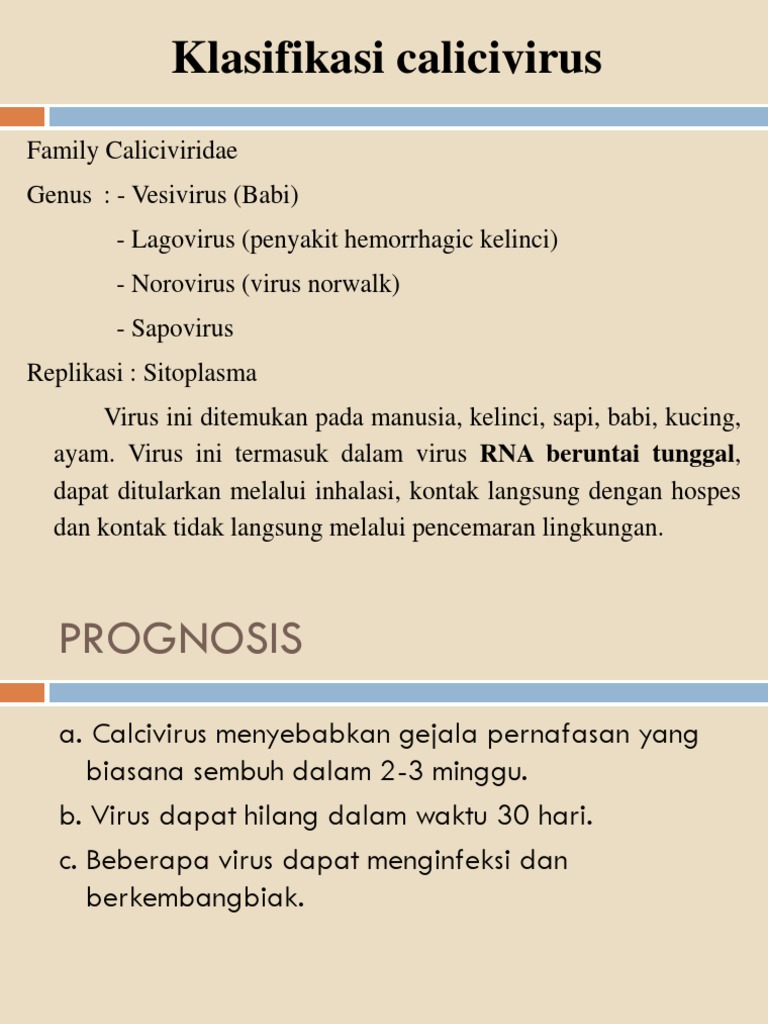 Klasifikasi dan Pencegahan Calicivirus | PDF