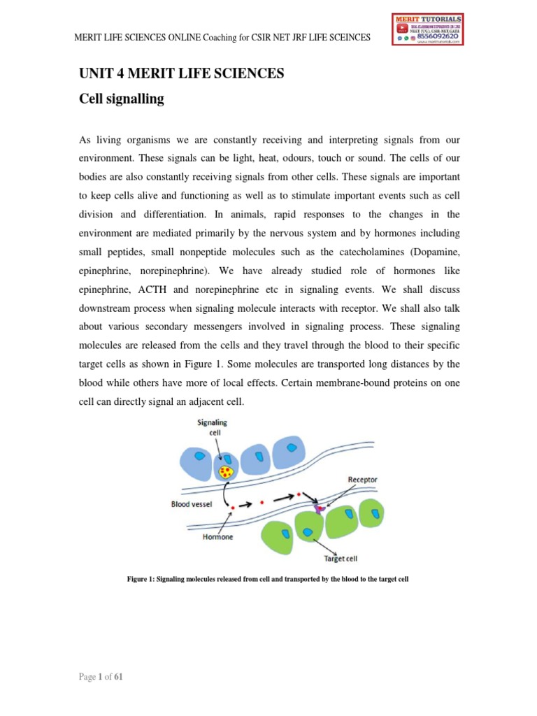 Understanding Cell Signaling Stages | PDF | Signal Transduction | Cell ...