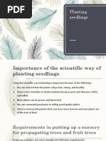 Bridge Grafting and Inarching Damaged Fruit Trees | PDF | Grafting | Trees