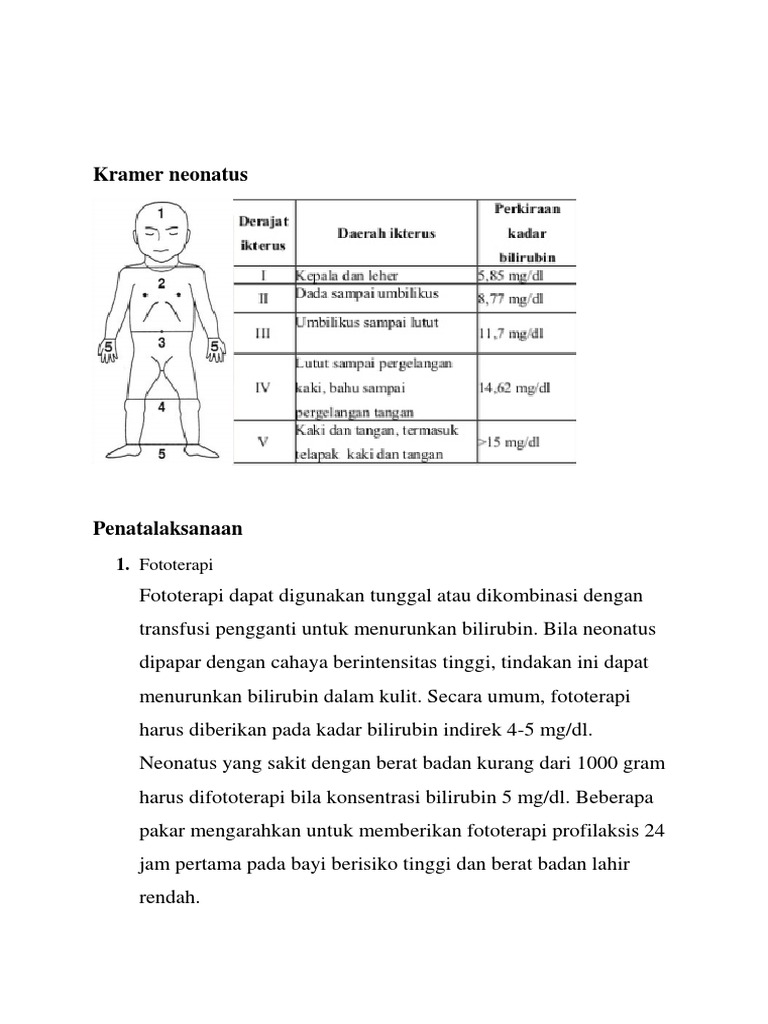 Kramer Neonatus | PDF