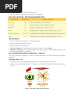 Cells Cheat Sheet | PDF | Cell (Biology) | Endoplasmic Reticulum