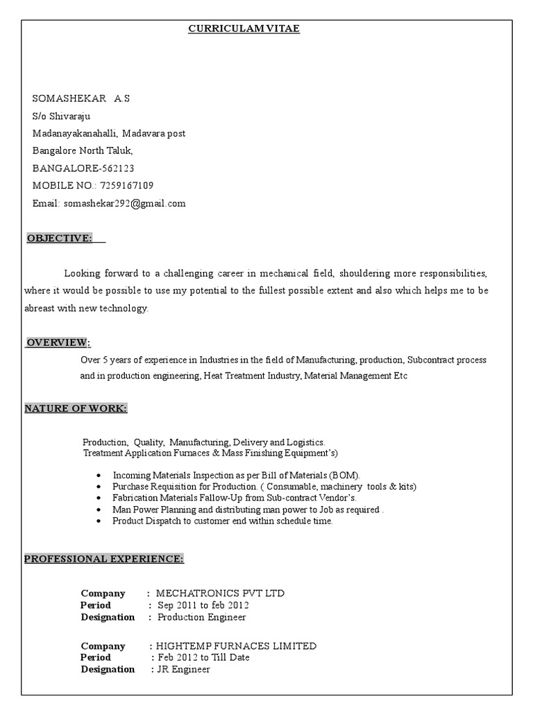My Resumje | PDF | Engineering | Business