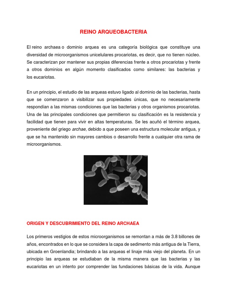 Reino Bacterias | PDF | Archaea | Las bacterias