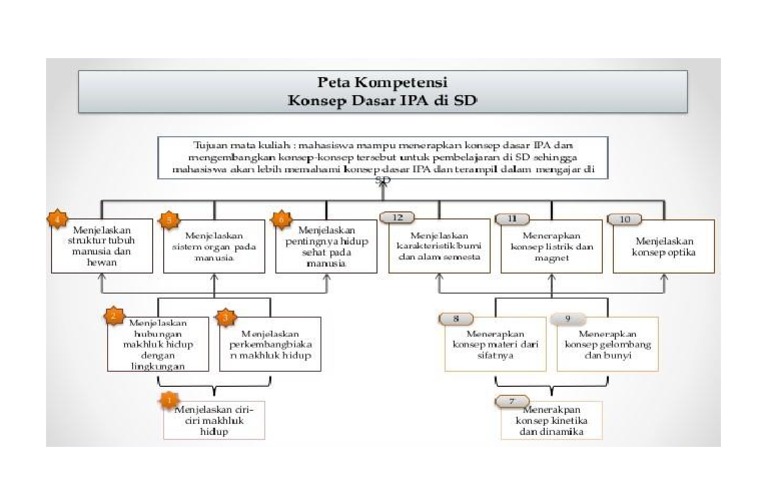 Peta Konsep - Konsep Dasar Ipa Di SD | PDF