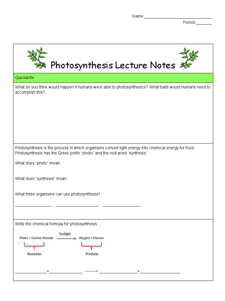 Photosynthesis Lecture Notes 1 | PDF | Photosynthesis | Chemical Reactions