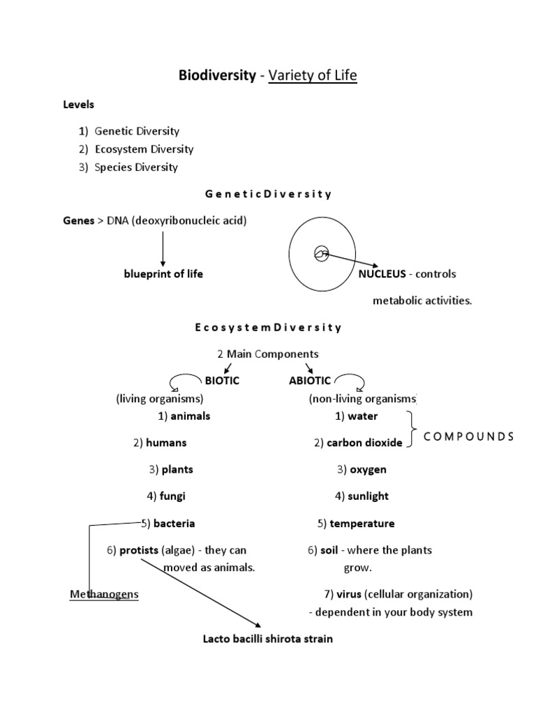 Biodiversity - Variety of Life: Levels | PDF