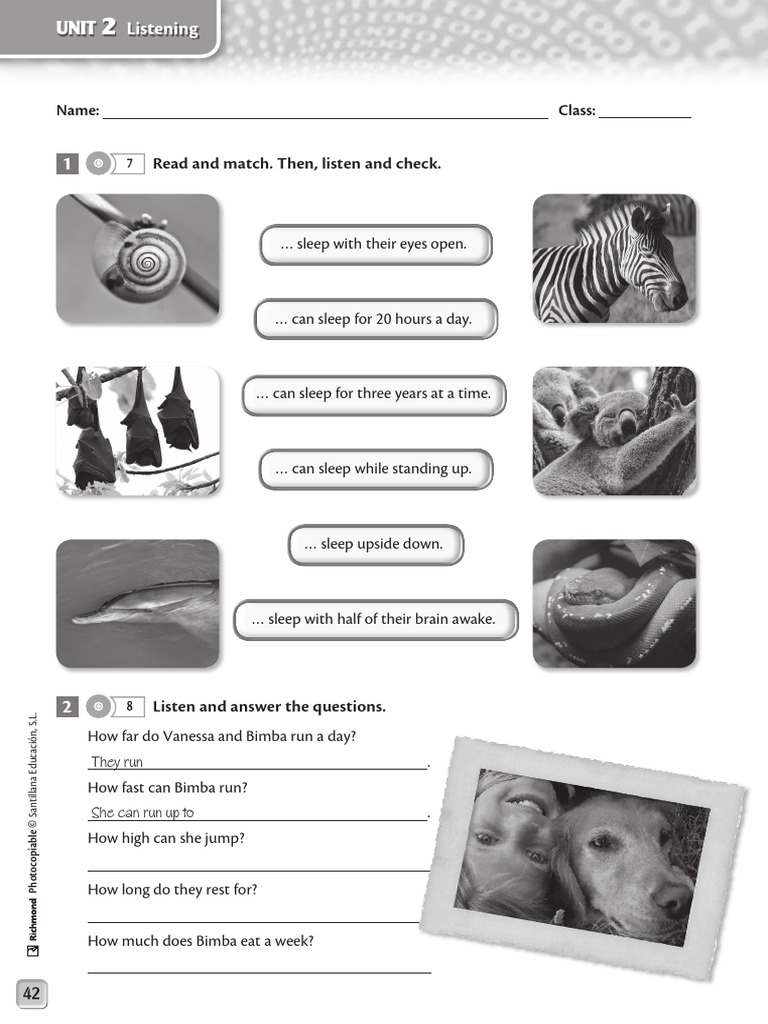 Wonder 6 Unit 2 Listening | PDF