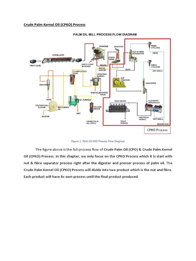 Crude Palm Kernel Oil (CPKO) Process | PDF | Boiler | Seed