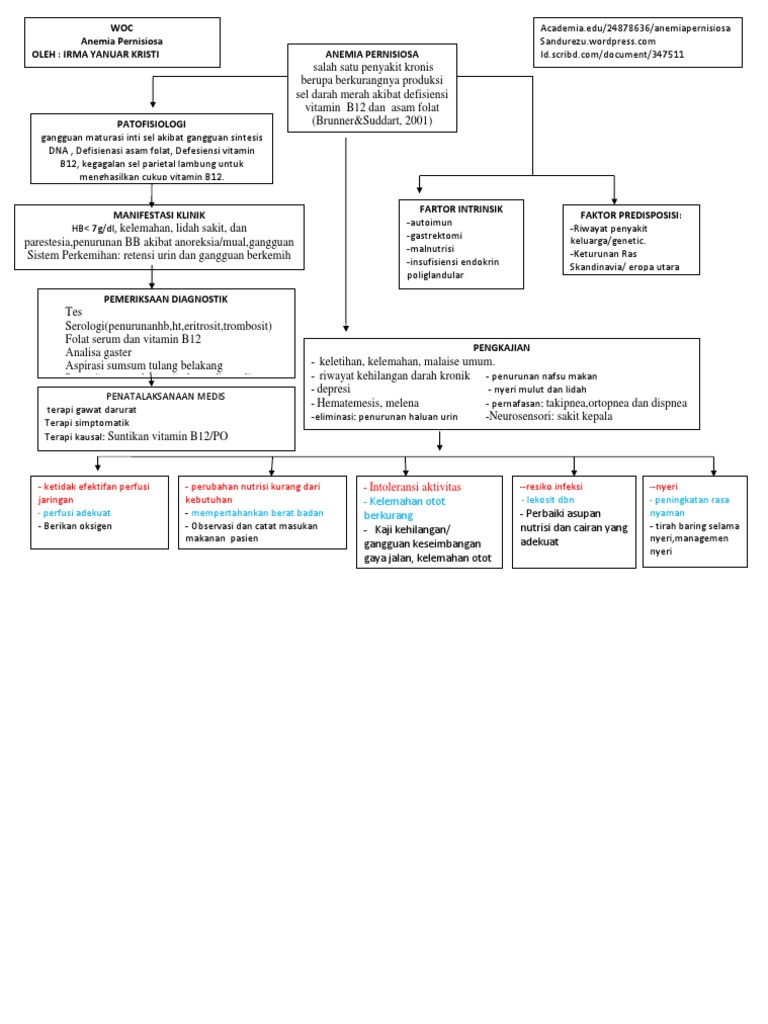 Woc Anemia Pernisiosa Irma | PDF