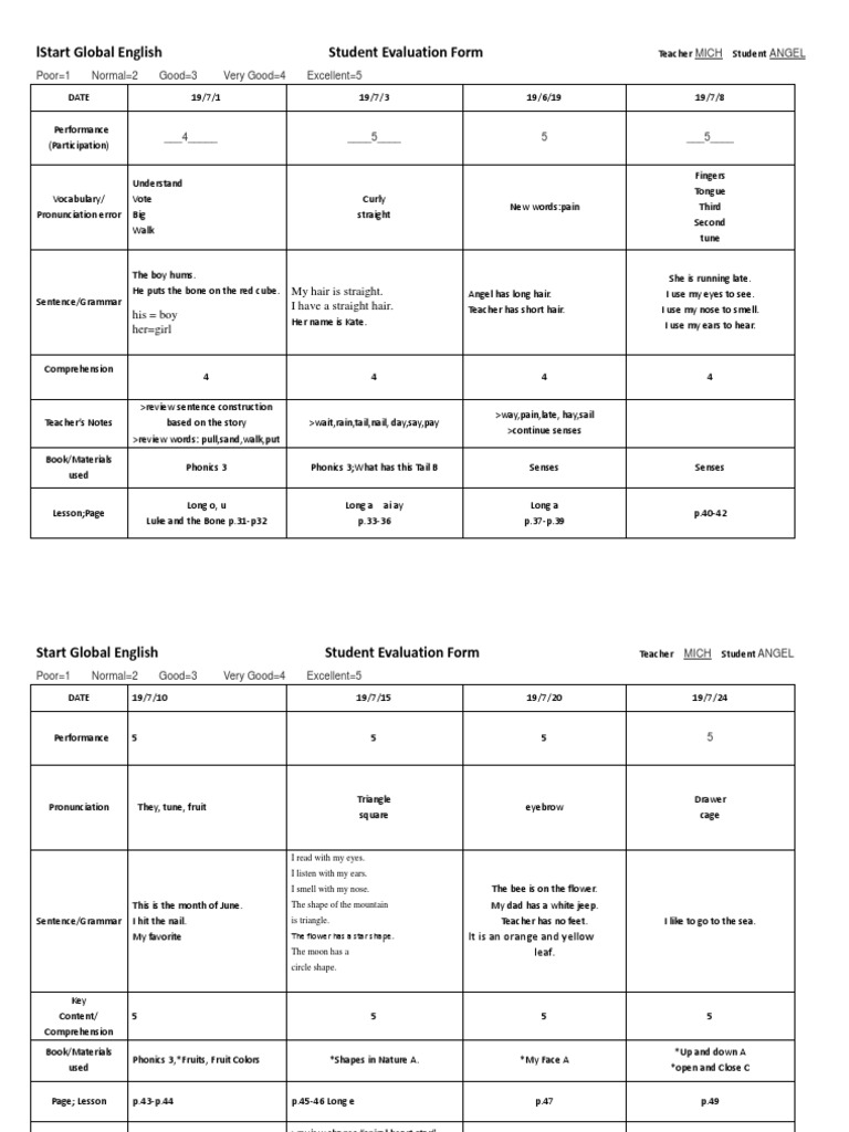 Student Daily Evaluation | PDF
