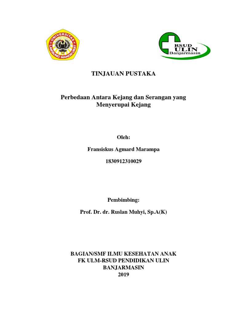 Format Tinjauan Pustaka | PDF