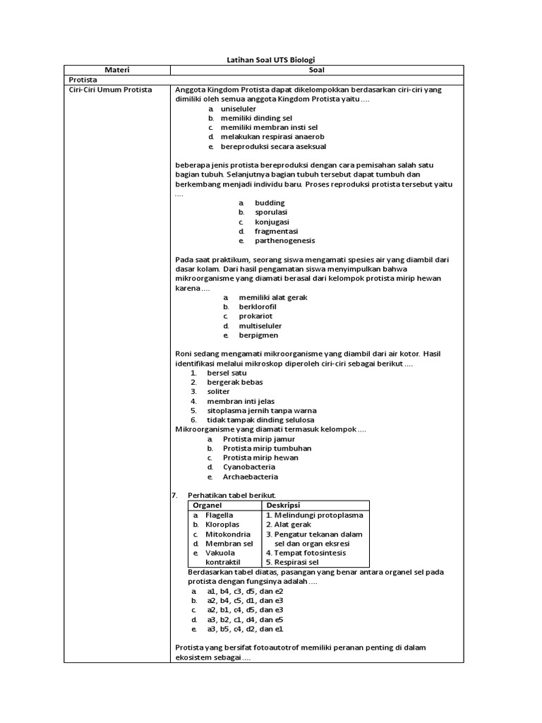 Protista dan peranannya sebagai produsen primer | PDF