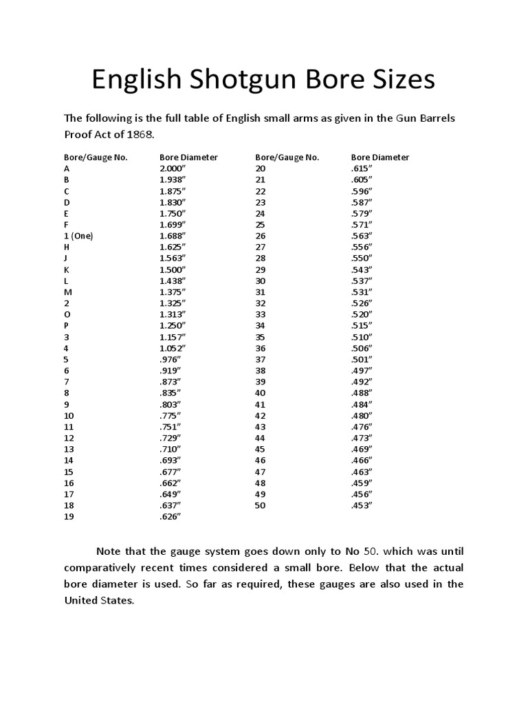 Shotgun Bore Size | PDF