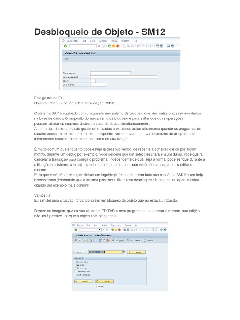 Desbloqueio de Objeto SAP SM12 | PDF