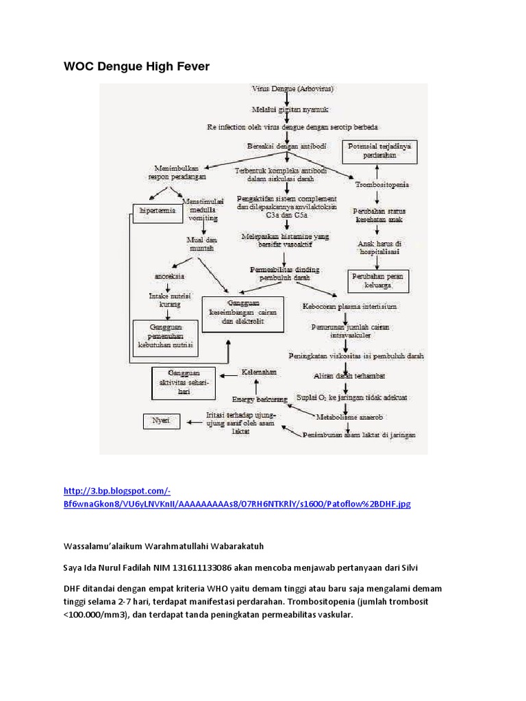 Empat Kriteria WHO untuk Diagnosis Demam Berdarah Dengue Berat (DHF ...