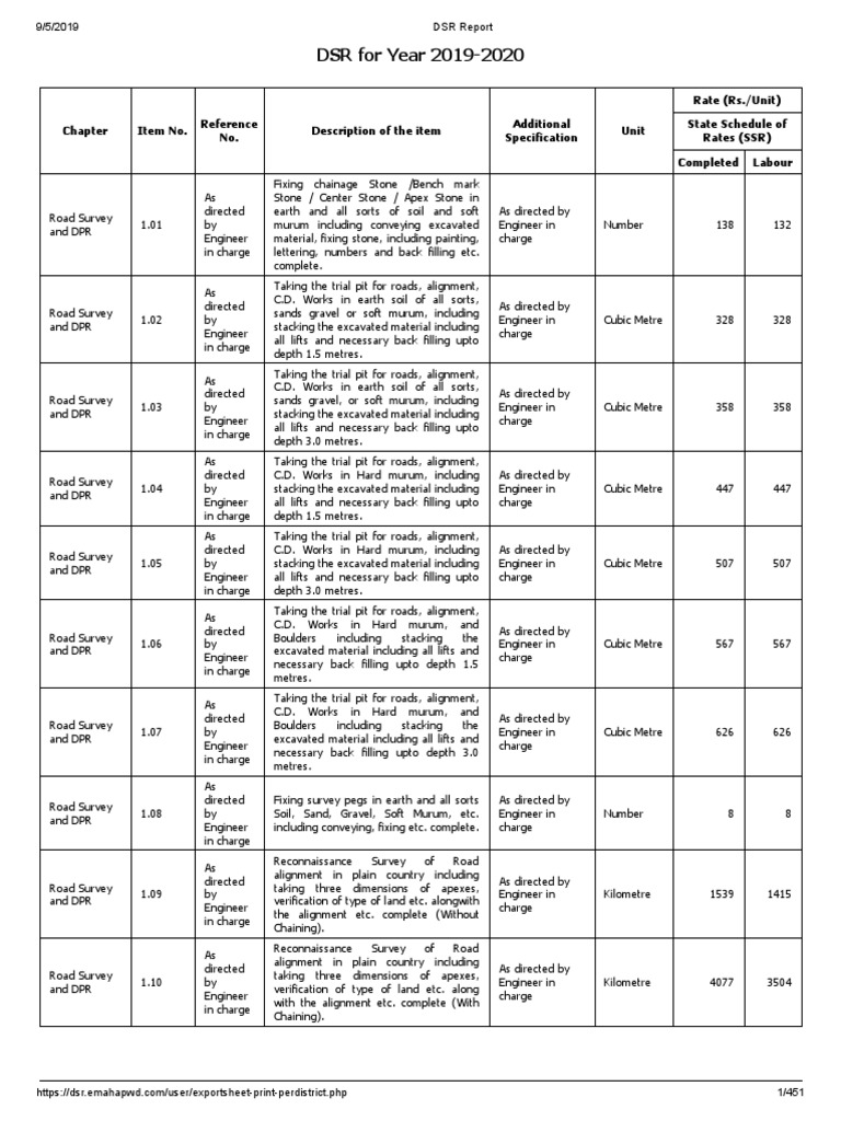 DSR Report | PDF | Surveying | Cartography