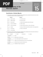Mink Dissection Anatomy Guide | PDF | Anatomical Terms Of Location ...