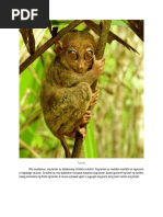 Mga Hayop Sa Paligid | PDF
