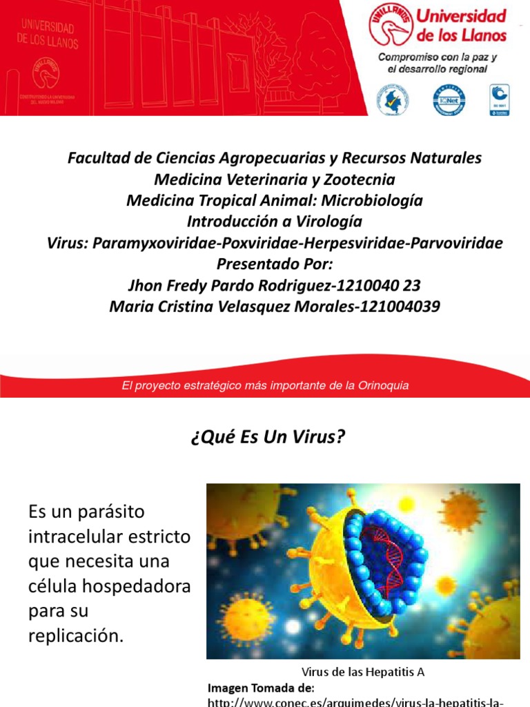 Virologia Microbiologia | PDF | Virus | Sistema inmune