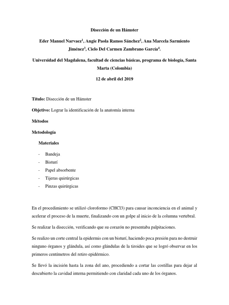Anatomía interna del hámster | PDF | Digestión | Zoología