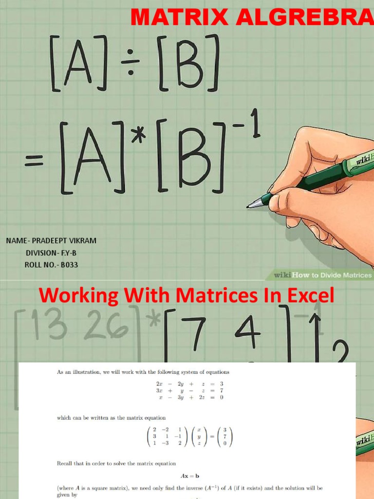 Matrix Algrebra | PDF