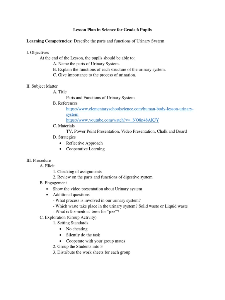Grade 6 Urinary System Lesson Plan | PDF
