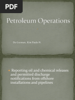 ROGI Form for Oil and Gas Incidents | PDF | Underwater Diving | Blowout ...