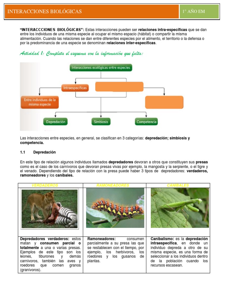 Relaciones biológicas: tipos de interacciones entre especies | PDF | Depredación | Simbiosis