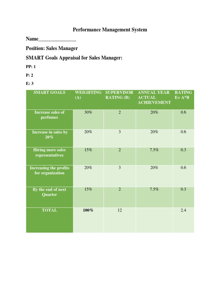 Performance Management System | PDF | Performance Management | Systems ...