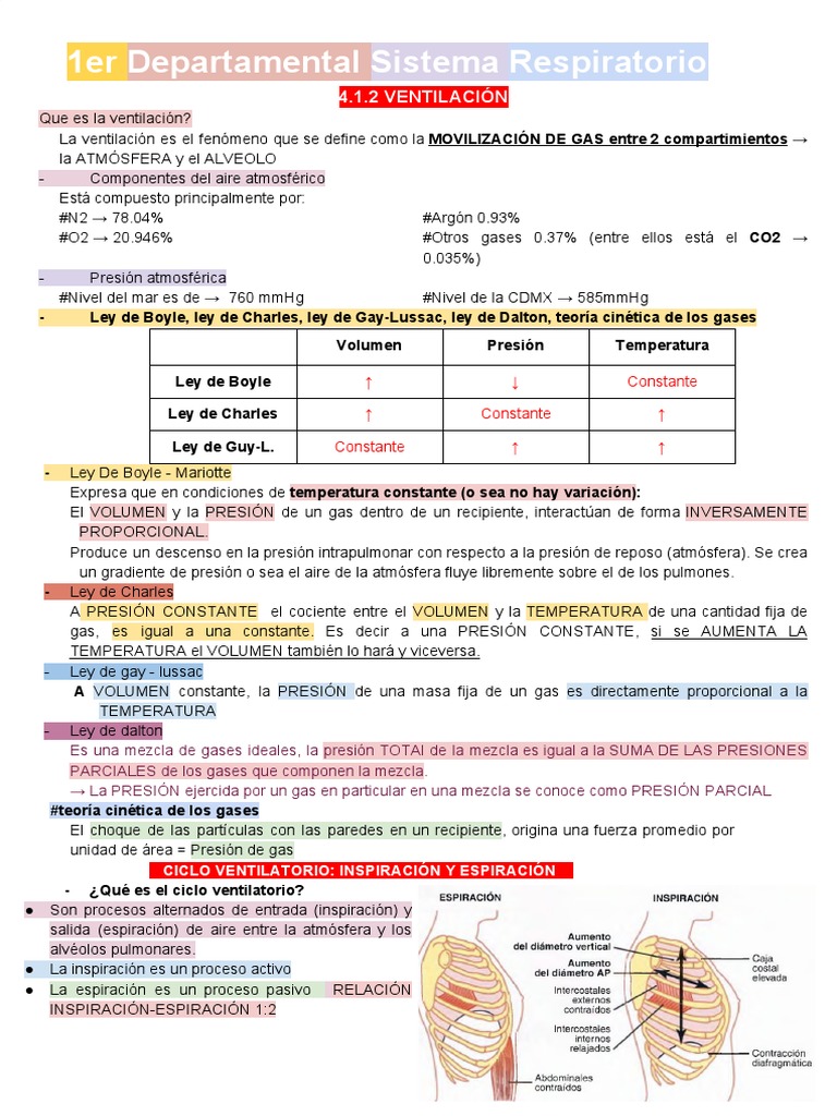 Guia 2do Depa Respi | PDF | Sistema respiratorio | Hemoglobina