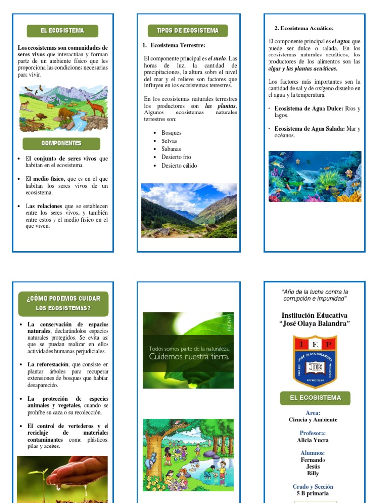 Triptico Ecosistema Terrestre | PDF | Ecosistema | Suelo