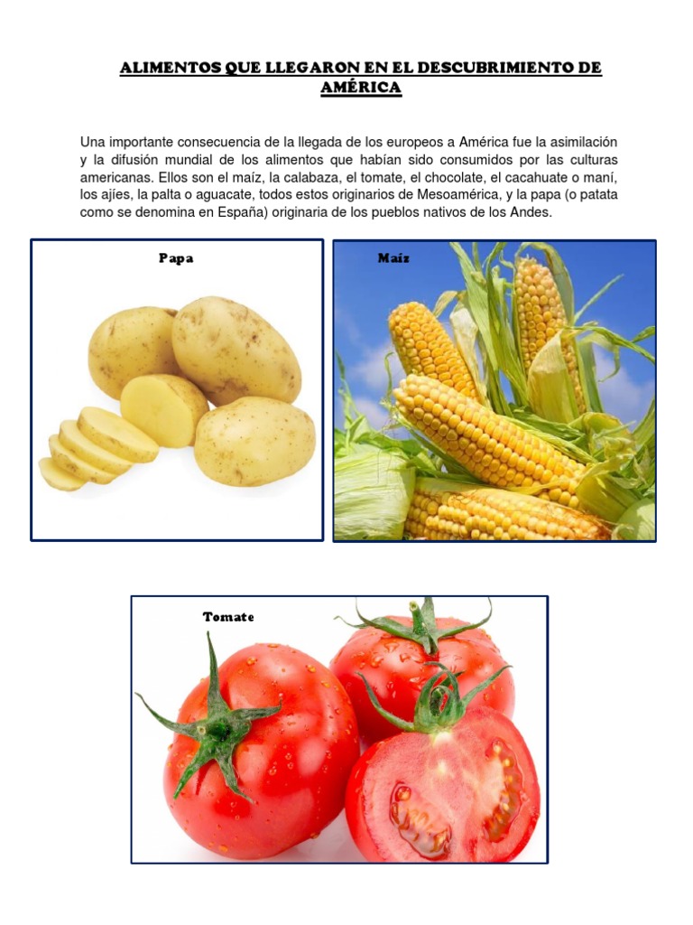 Alimentos Que Llegaron en El Descubrimiento de América | PDF