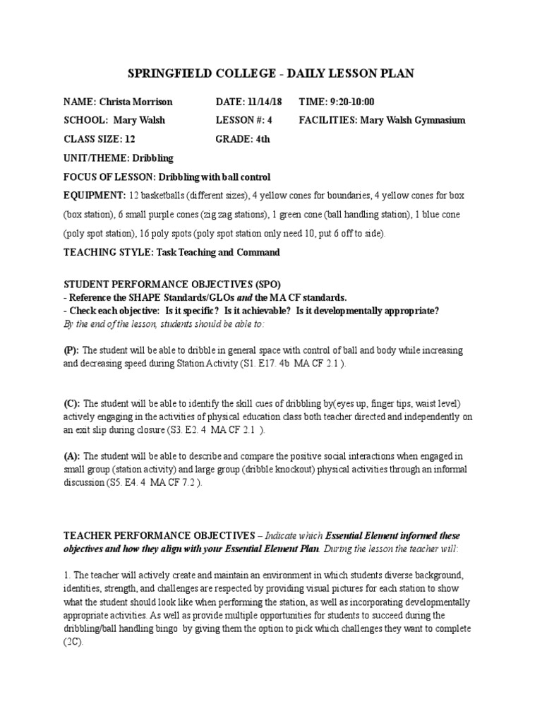 Sample Elementary Lesson Plan | PDF | Classroom Management | Teachers