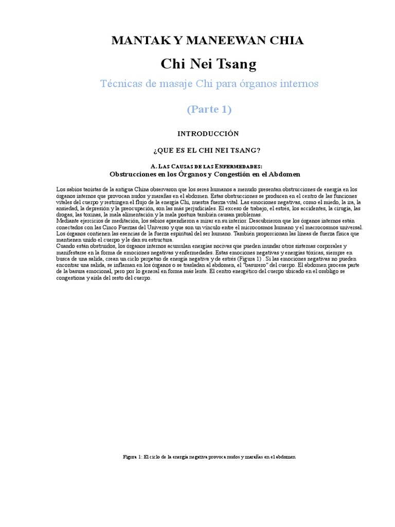 Chi Nei Tsang 1 Masaje Chi para Organos Internos 46p PDF | PDF | Qi ...