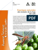 Plagas de Palma Aceitera I-2013 | PDF | Insectos beneficiosos | Hormiga