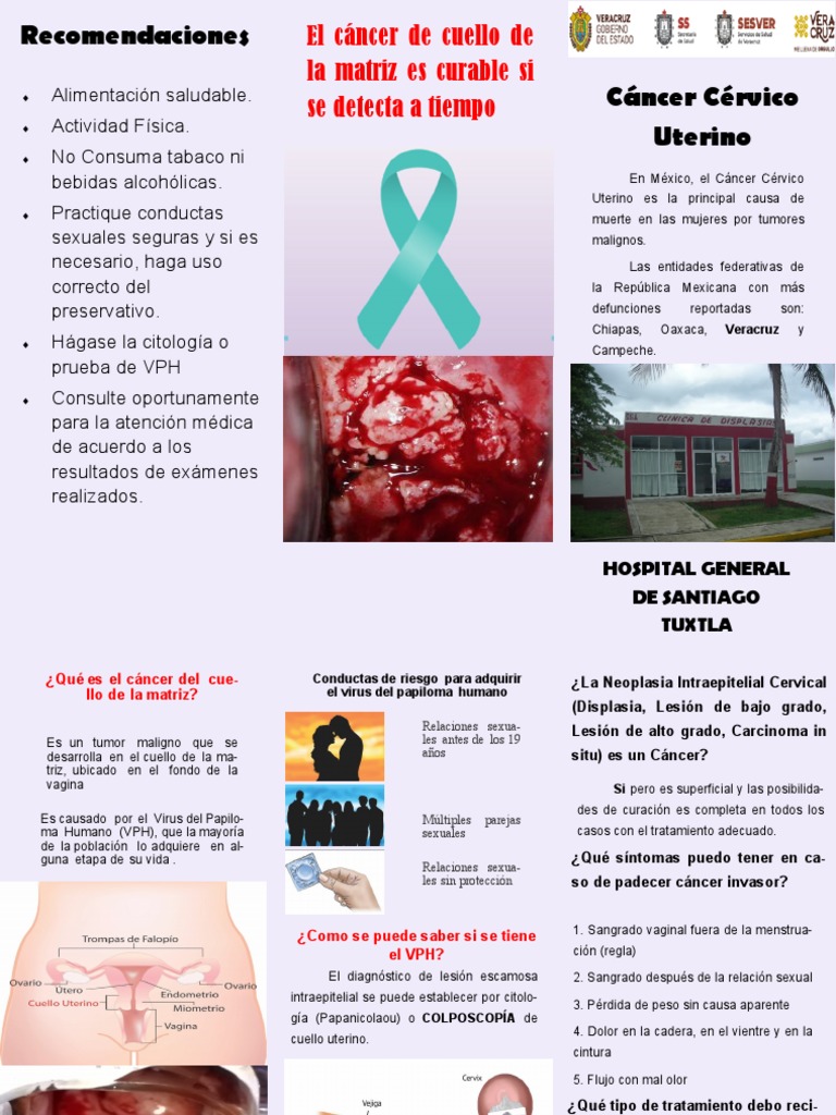 Triptico Cancer | PDF | Cáncer | Causas de la muerte