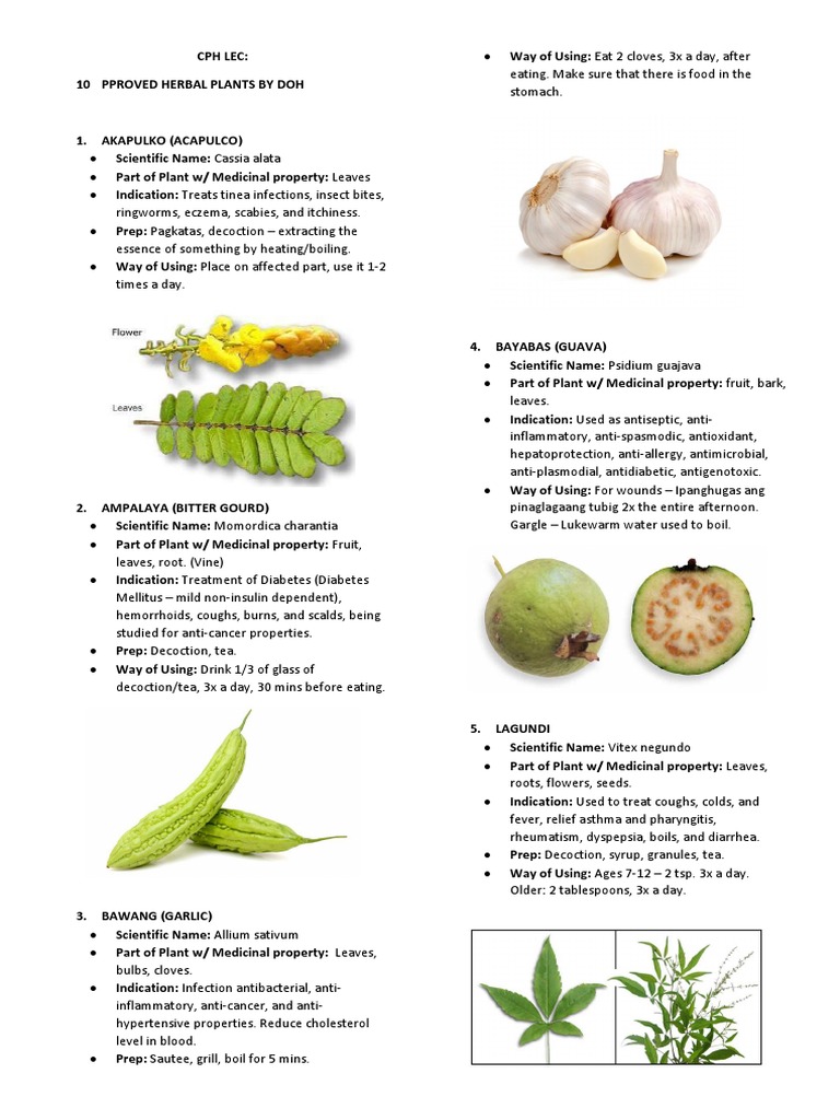 Approved Herbal Plants by DOH | PDF | Plants | Medical Specialties