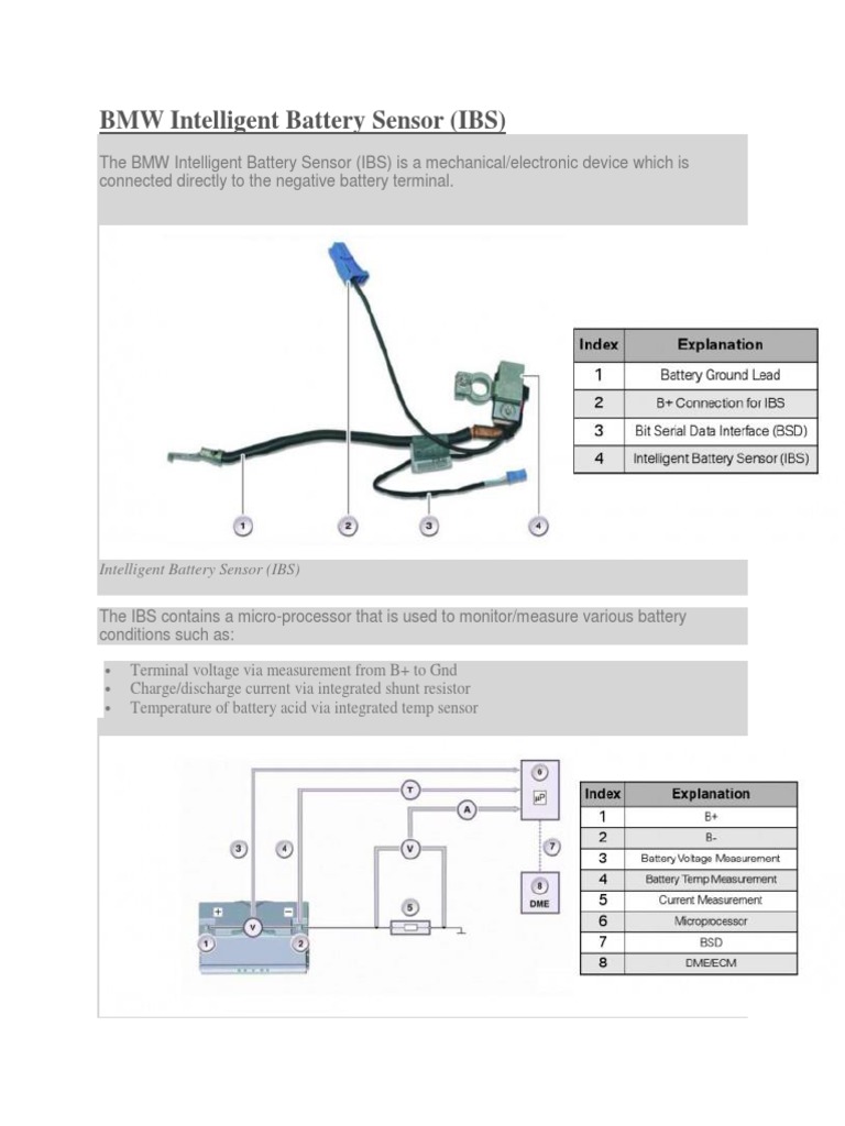 BMW IBS Monitor Battery Conditions | PDF | Electric Current ...