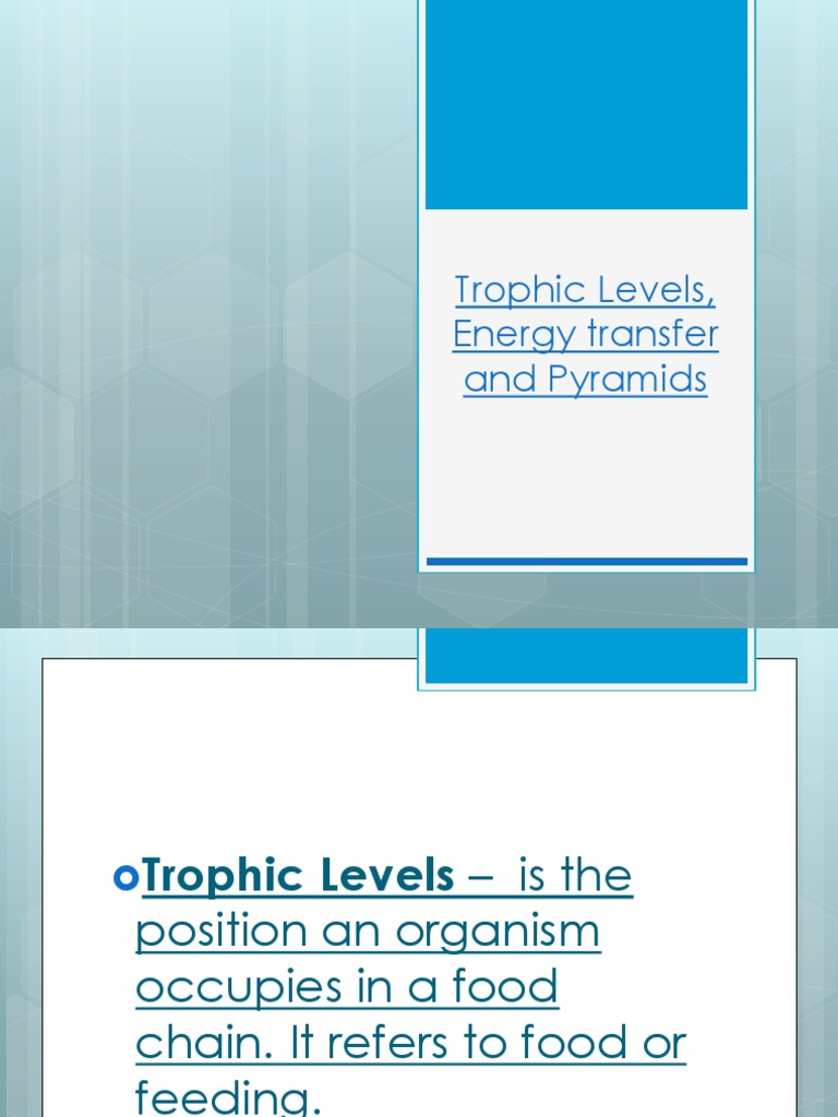 Trophic Levels, Energy Transfer and Pyramids | Download Free PDF | Food ...