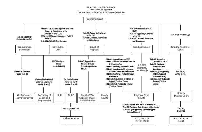 Appeal Procedure Flowchart PDF | PDF | Certiorari | Appeal