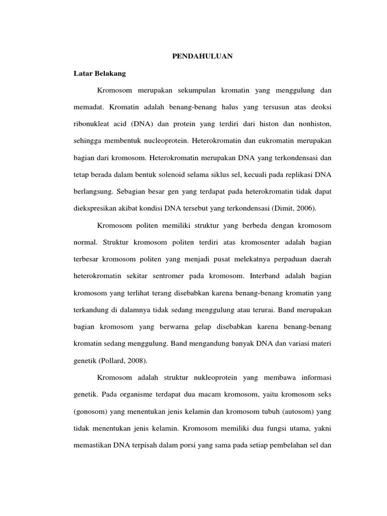 Pendahuluan Kromosom Politen | PDF