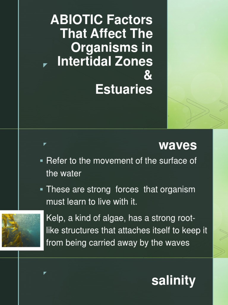 Abiotic Factors in Intertidal Zones | PDF | Estuary | Sea
