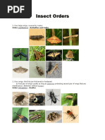 Sanitary Defect Codes Overview | PDF | Hexapoda | Insects And Humans